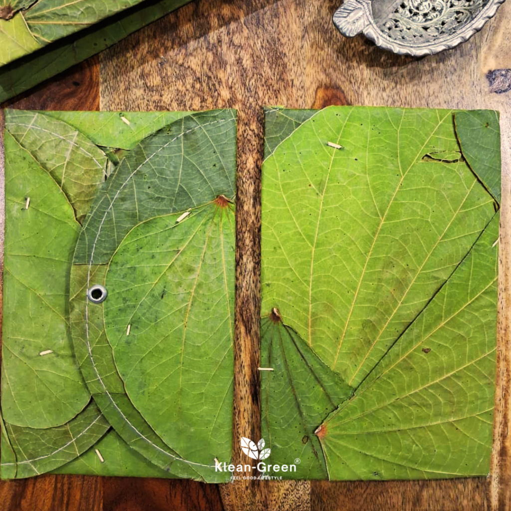 Green Leaf Wrap Envelop(5 x 8) inches(PACK OF 12) - Klean-Green India